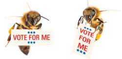 Philadelphia Beekeepers Guild - Givin' a durn about bees since 2009