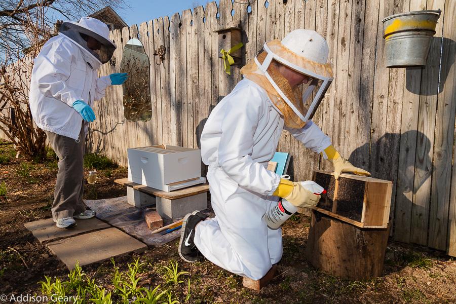 Philadelphia Beekeepers Guild : 2022 Workshops: Spring starts