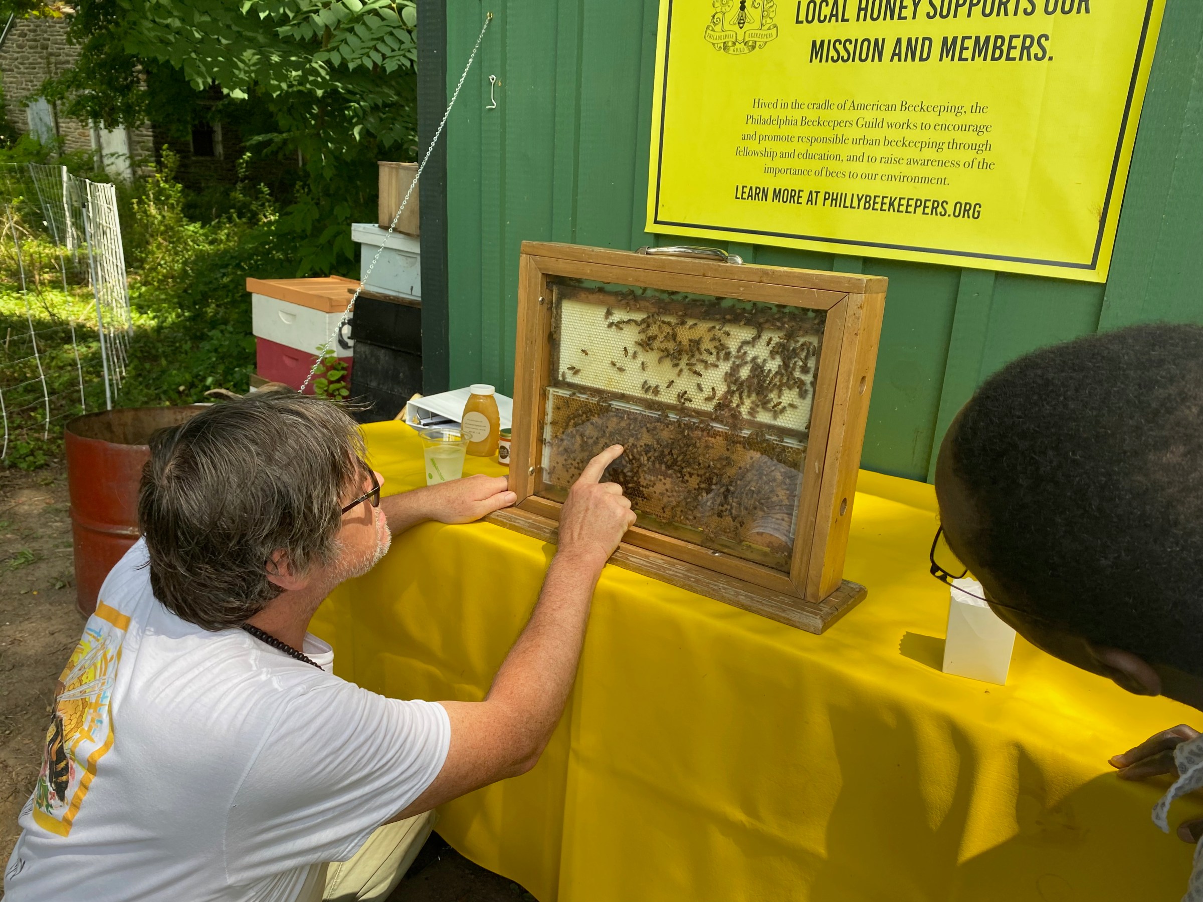 Philadelphia Beekeepers Guild : Answers to your bee questions